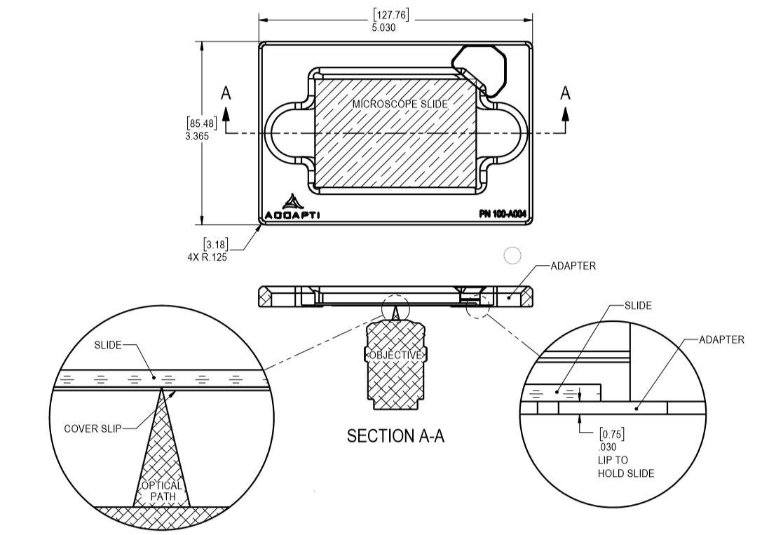 microscope slide dimensions